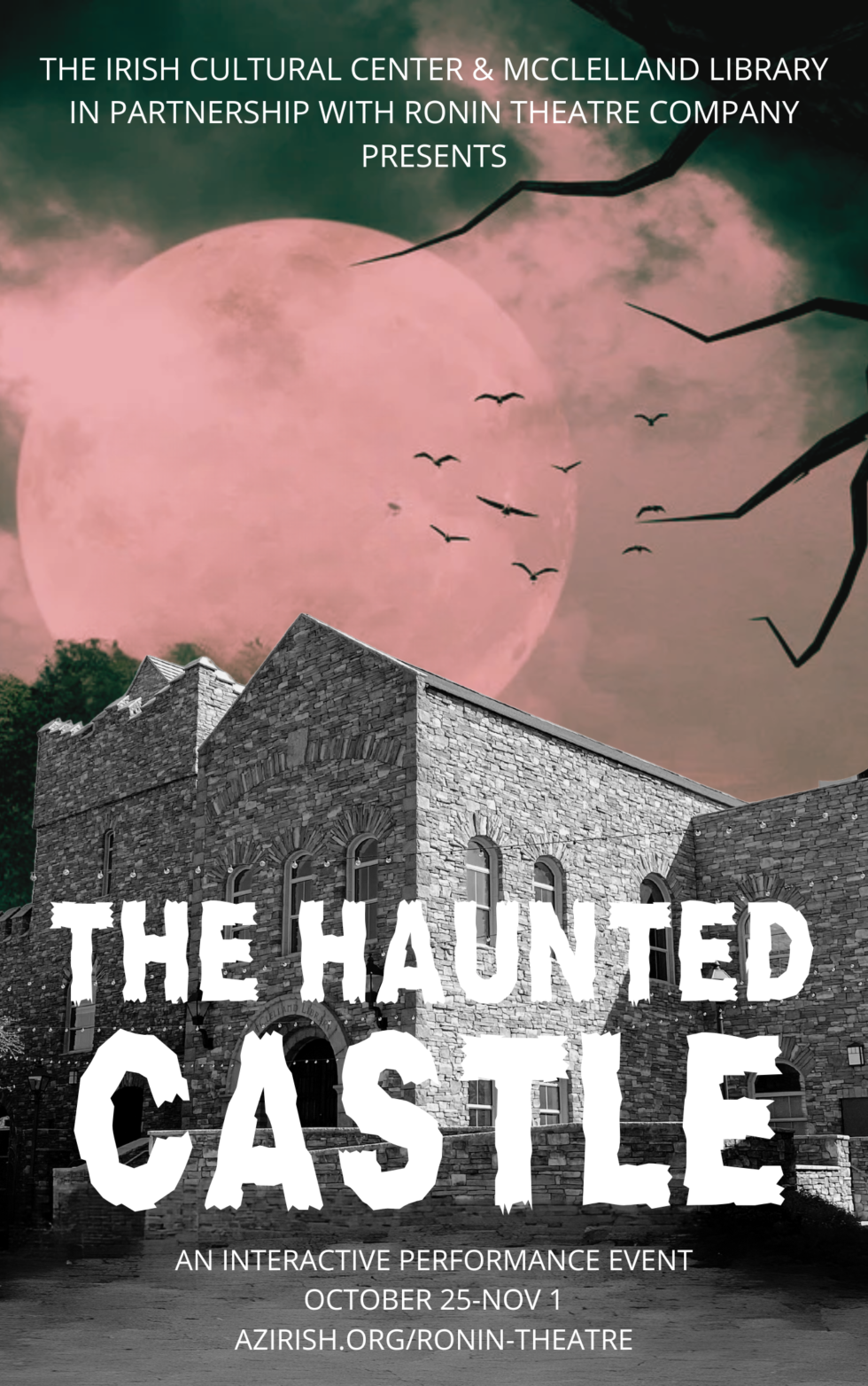 Ronin Theatre | Irish Cultural Center and McClelland Library